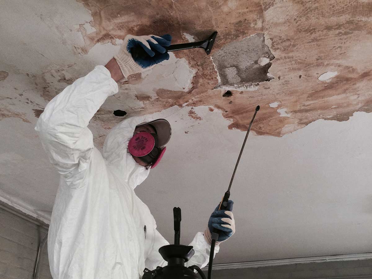 Mold Abatement | UNYSE Environmental Consultants