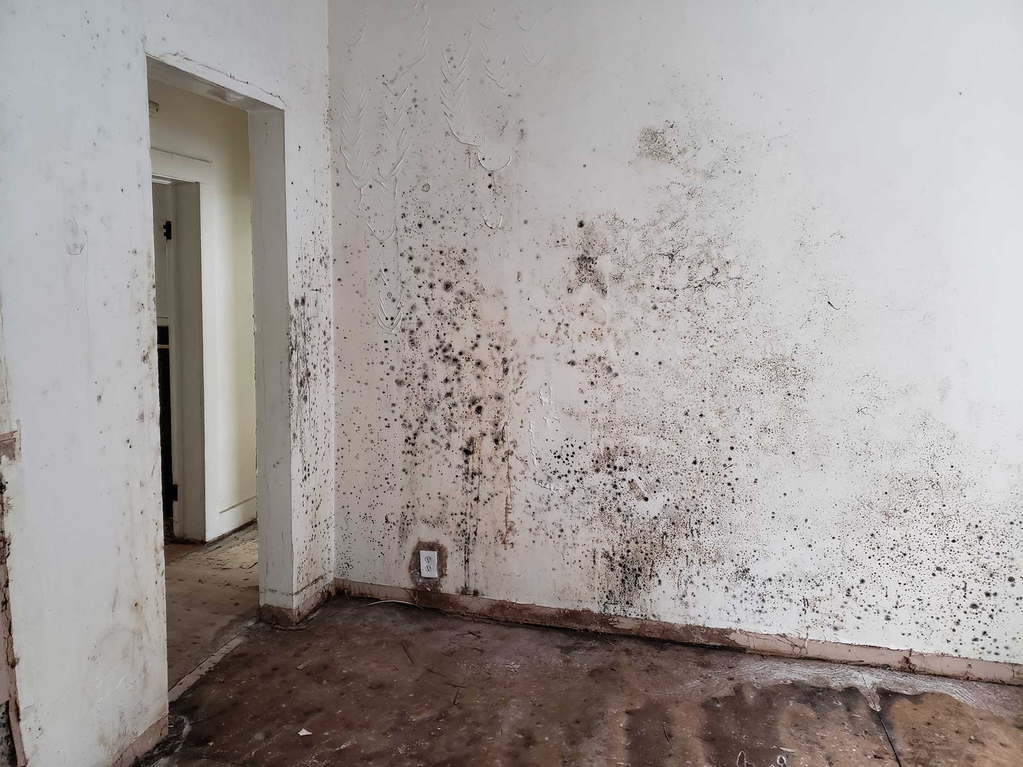 Analysis Services | UNYSE - Environmental Consultants